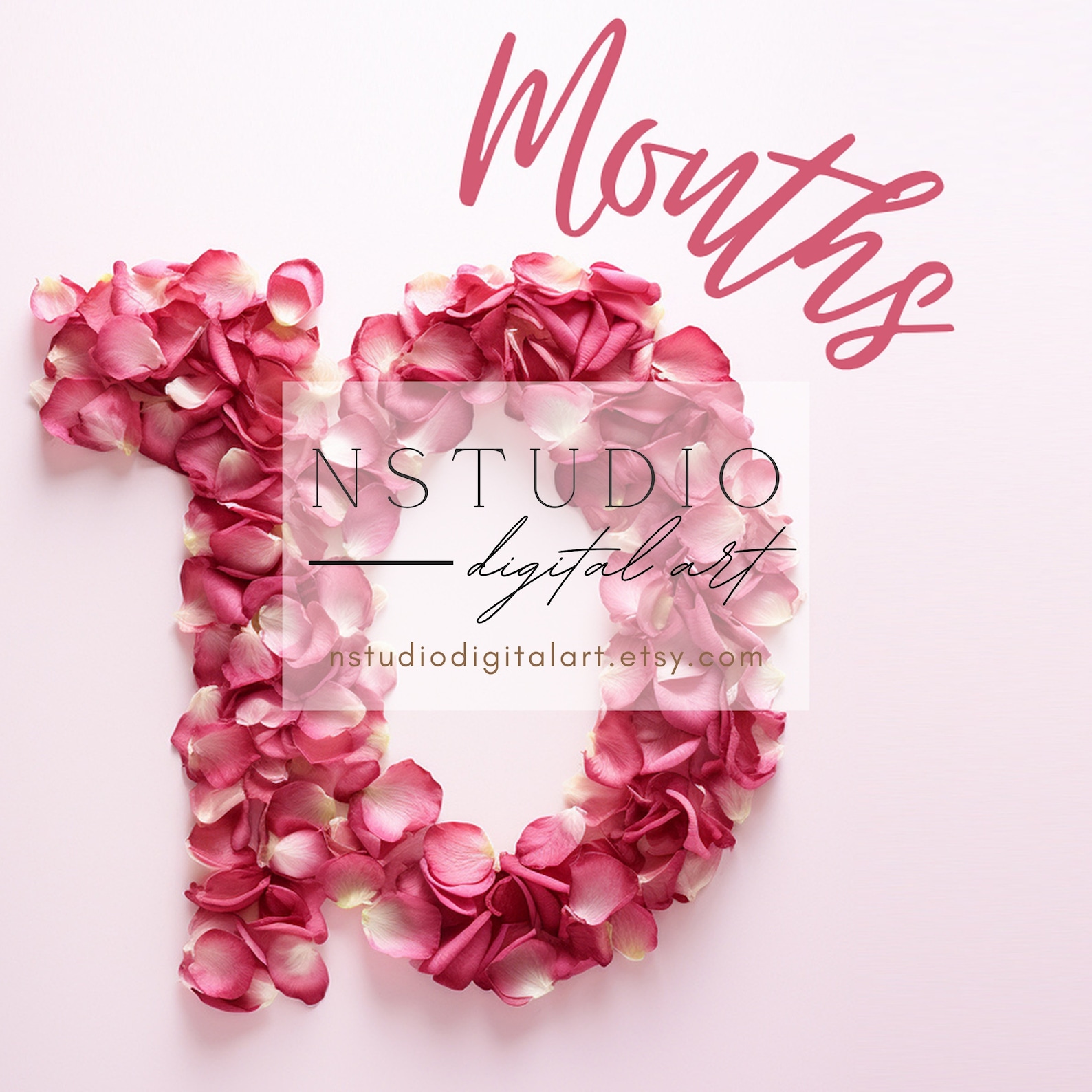 12 Newborn Girl Milestone Digital Photography Backdrops, Floral Pink ...