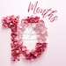 12 Baby Girl First Twelve Months Photography Backdrops | Floral Pink ...