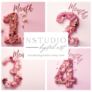 12 Newborn Girl Milestone Digital Photography Backdrops, Floral Pink ...
