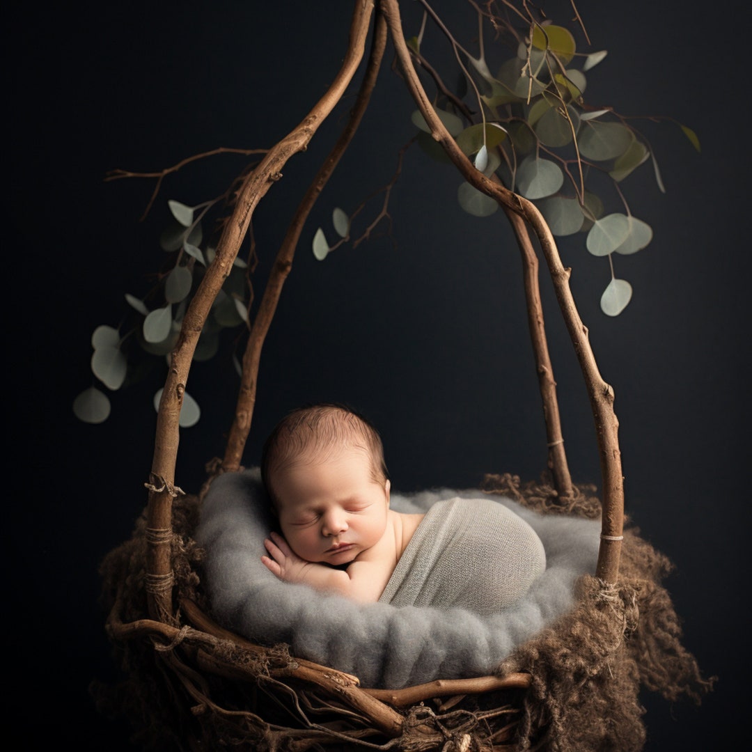 10 Bird Nests Backdrops in Blue for Newborn Baby Baby Boy Creative ...