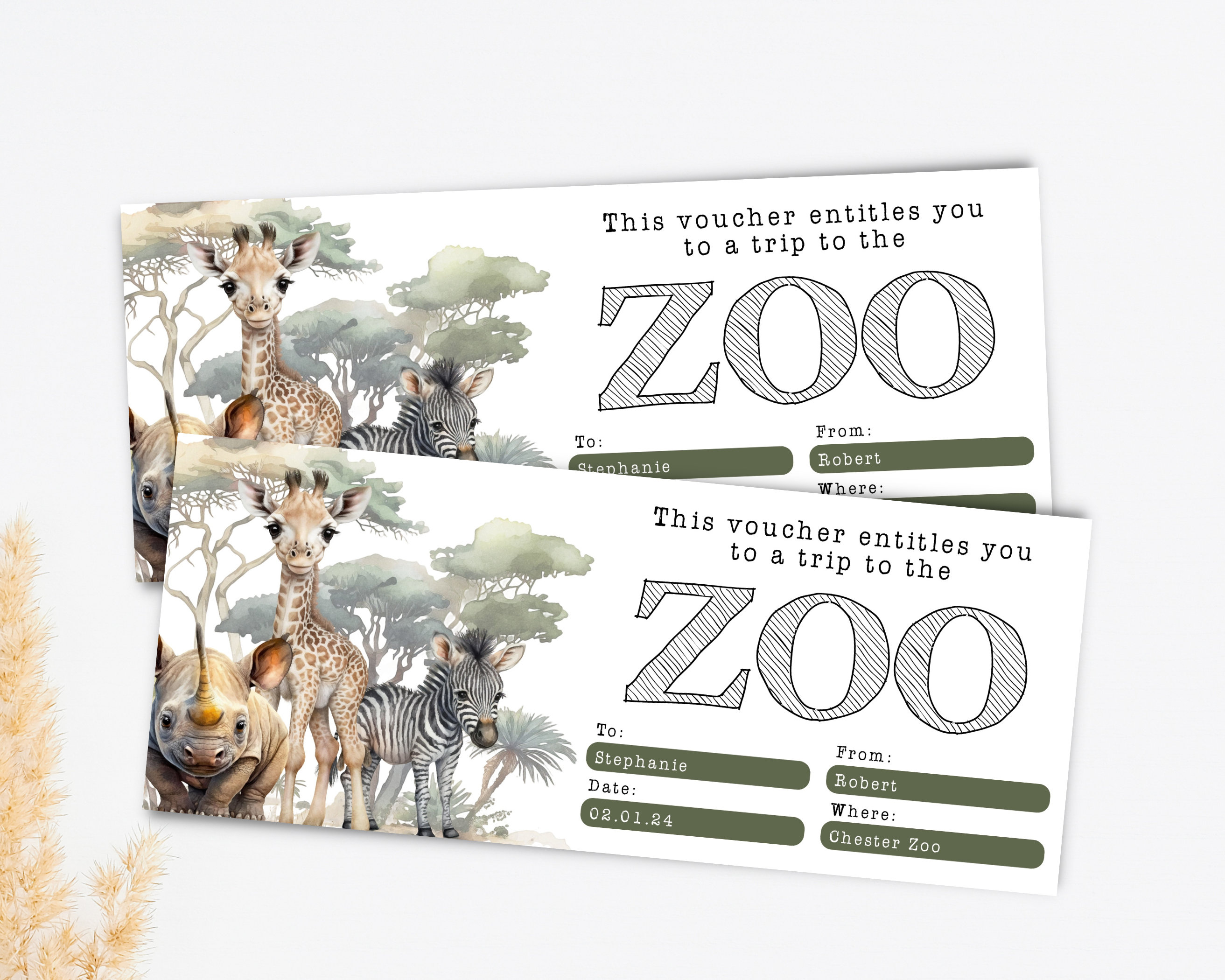 Zoo Printable Tickets, Editable Safari Vouchers, Birthday Gift Voucher ...