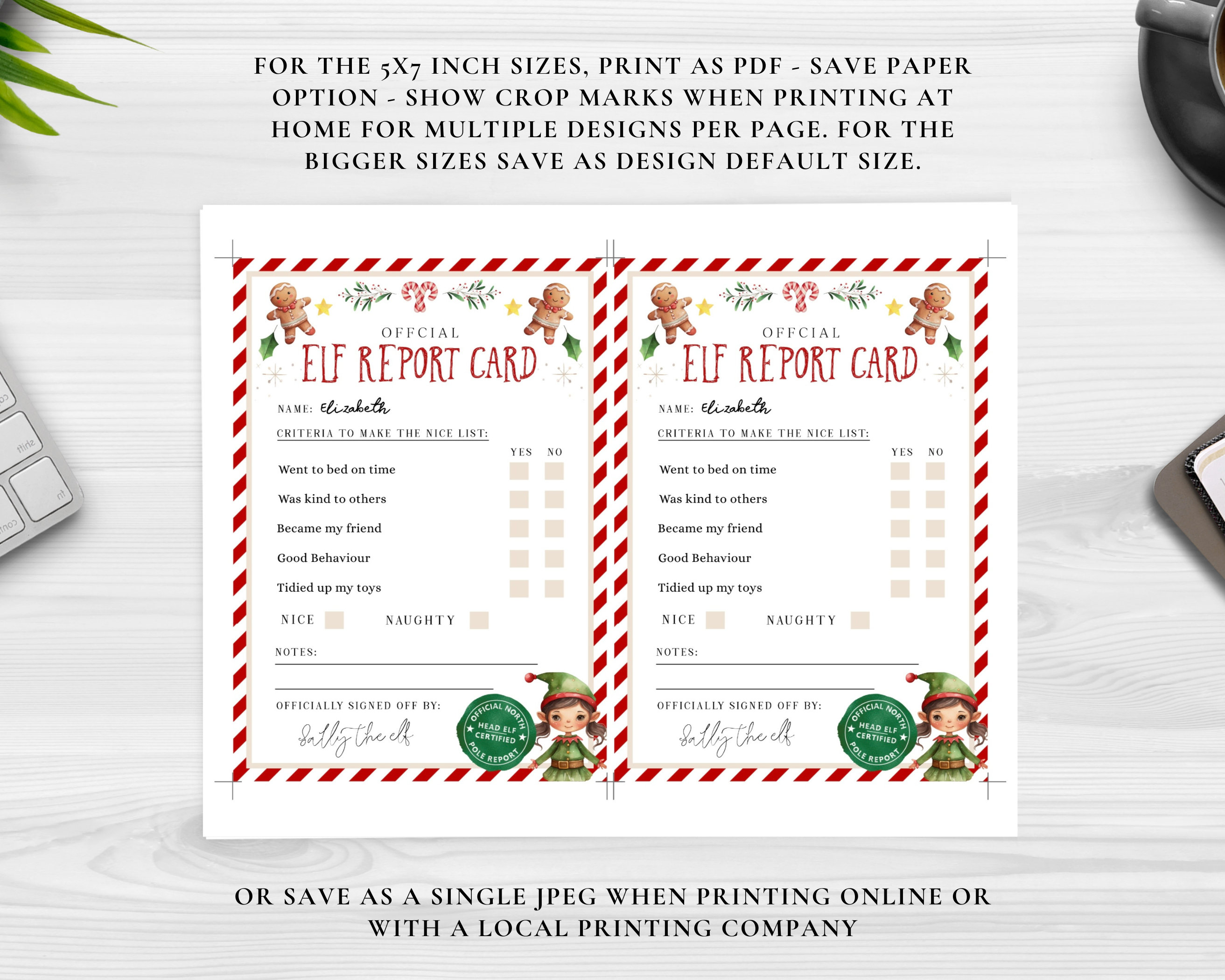 Girl Elf Report Card, Official Nice List Certificate, Editable Elf Nice ...