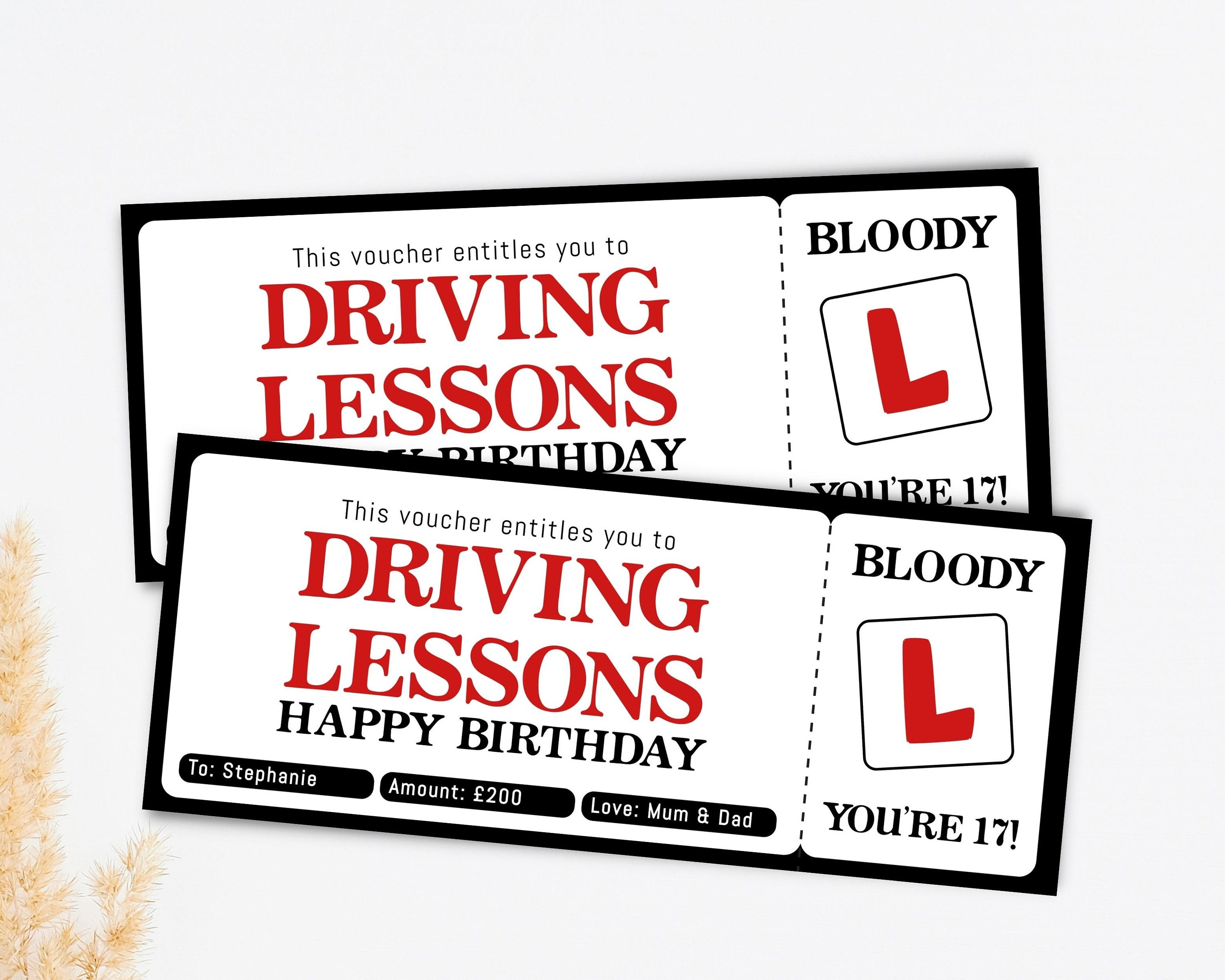 Driving Lessons Gift Certificate, 17th Birthday Driving Lessons Voucher ...