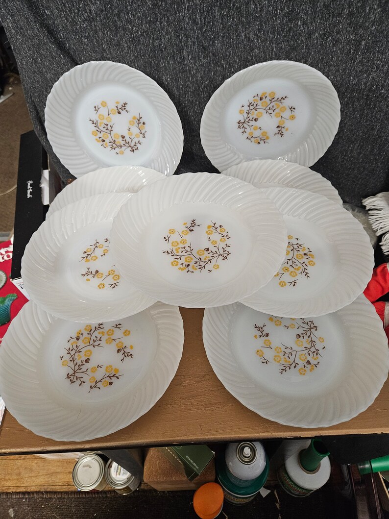 Set of 9 Vintage Termocrisa Milk Glass Dinner Bowls With Floral Harvest ...