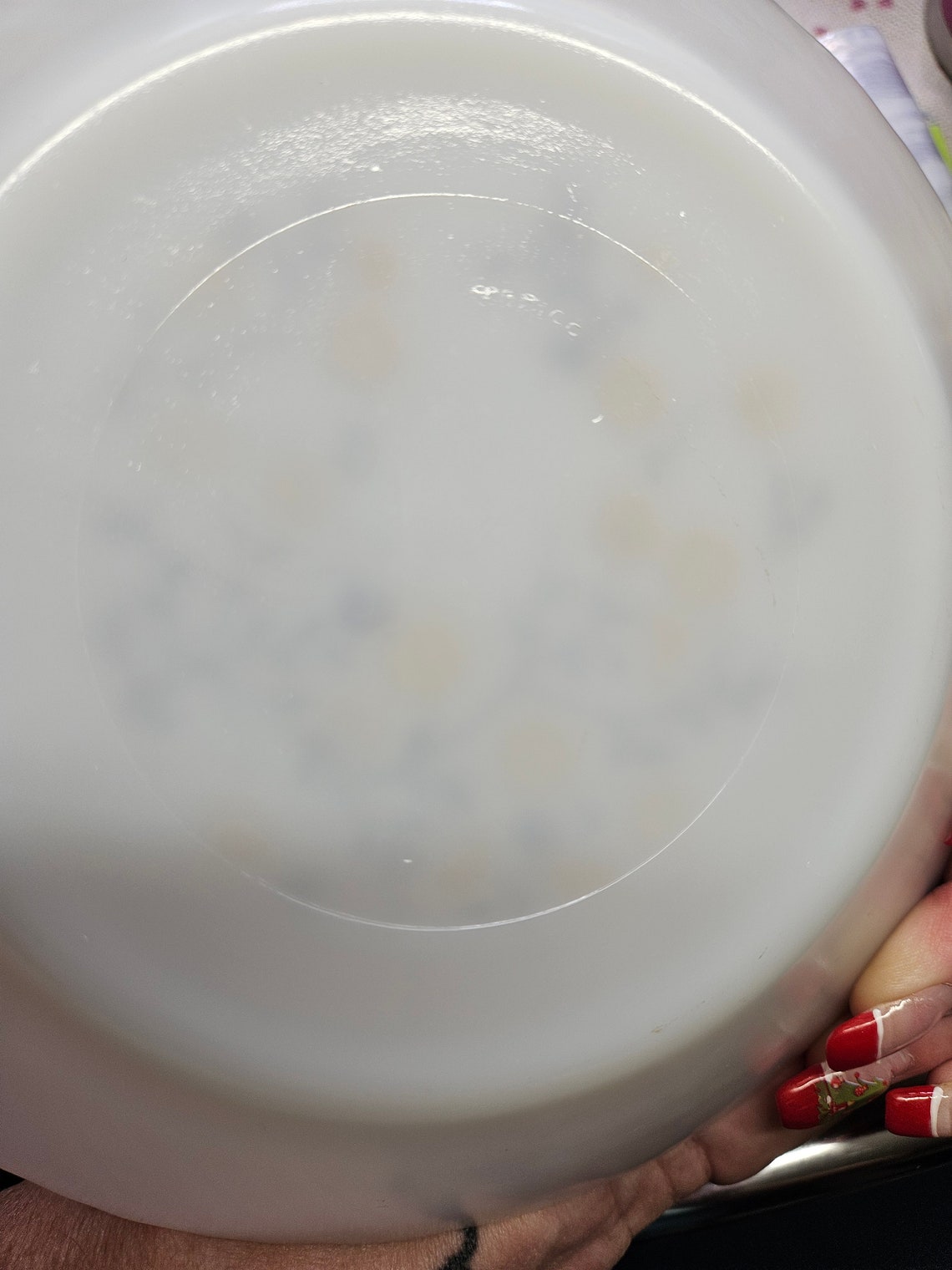 Set of 9 Vintage Termocrisa Milk Glass Dinner Bowls With Floral Harvest ...