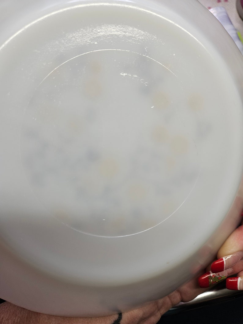 Set of 9 Vintage Termocrisa Milk Glass Dinner Bowls With Floral Harvest ...