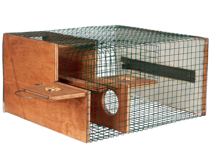 Zipper Door New Design Sparrow Trap, Live Bird Trap Nonstop Elevator ...