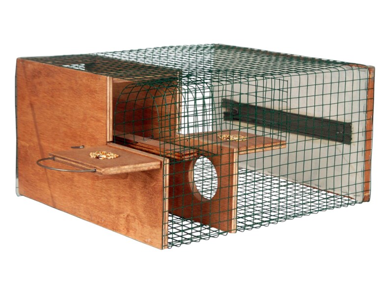 New Model Sparrow Trap, Live Bird Trap Nonstop Elevator Type Automatic ...