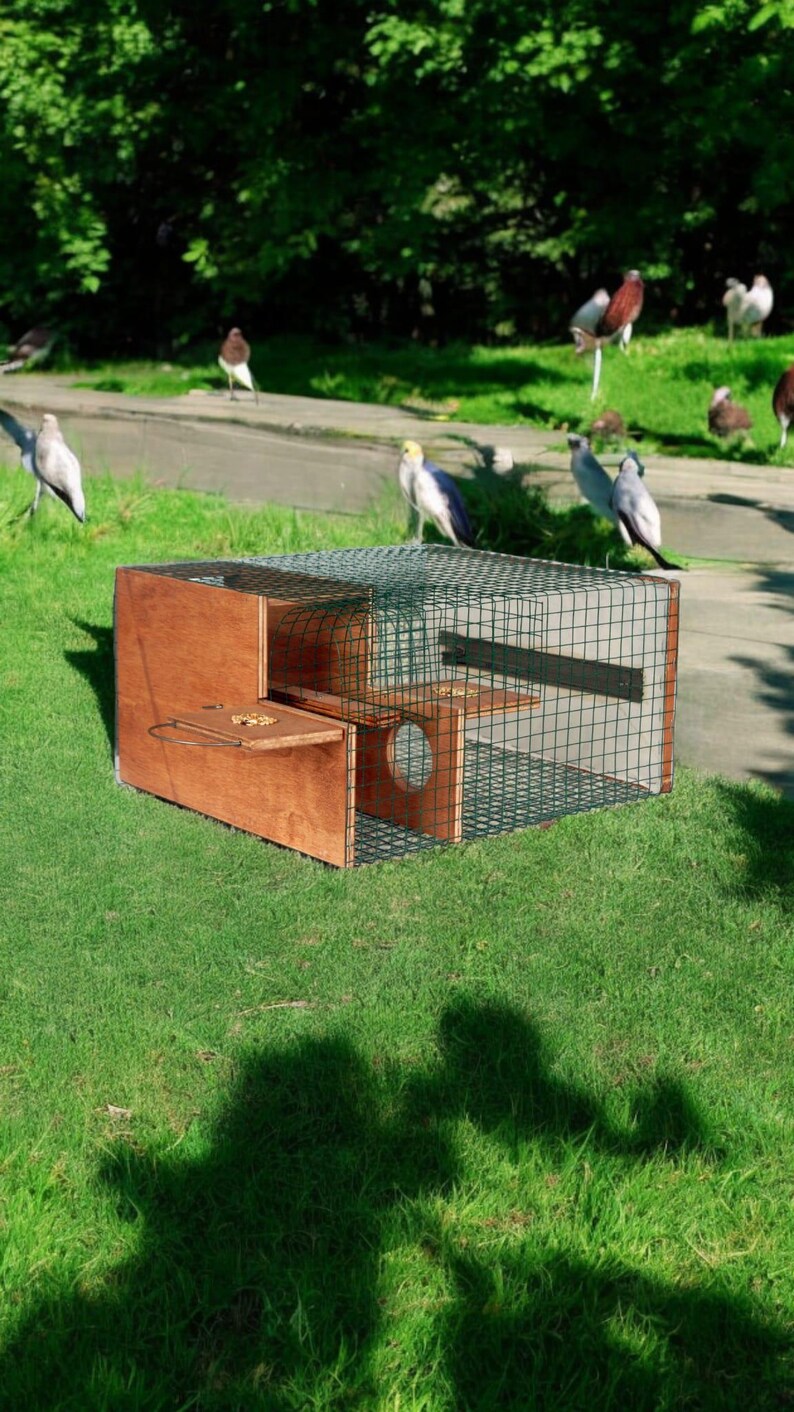 Zipper Door New Design Sparrow Trap, Live Bird Trap Nonstop Elevator ...