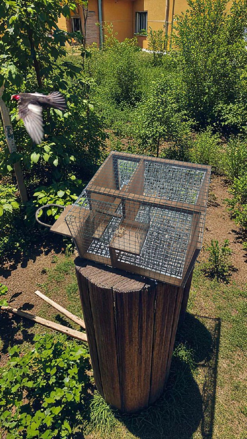 Automatic Sparrow Trap: Elevator Bird Catcher, Wooden & Metal - Etsy