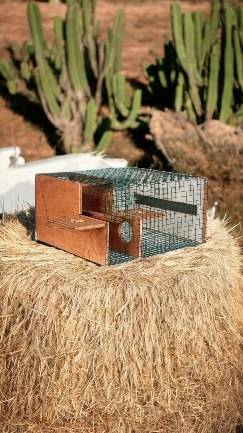 Sparrow Trap, Live Bird Trap Nonstop Elevator Type Automatic Trap Catch ...