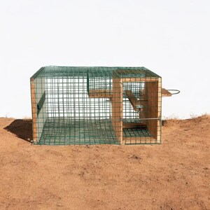 Zipper Door New Design Sparrow Trap, Live Bird Trap Nonstop Elevator ...