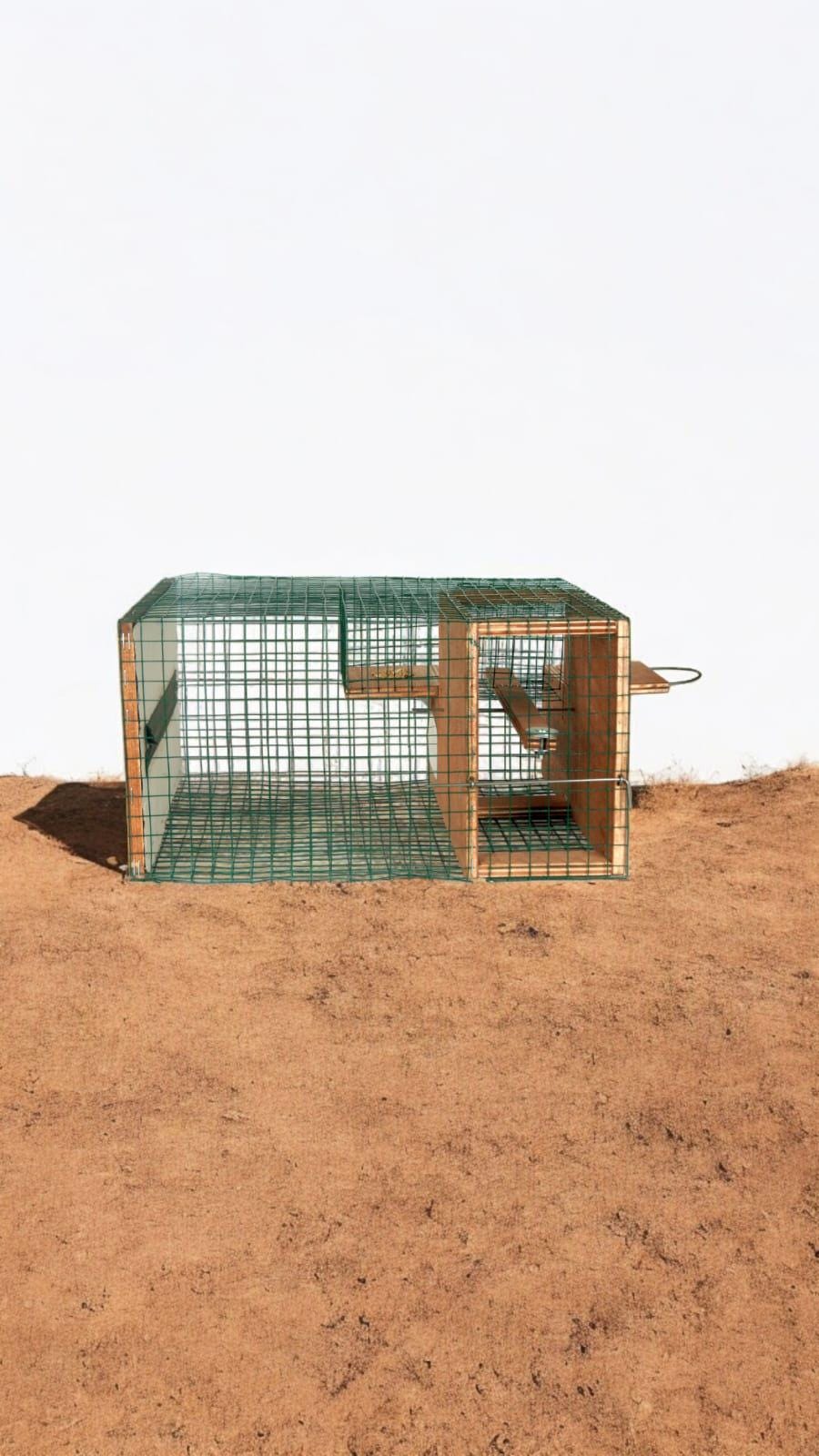Sparrow Trap, Live Bird Trap Nonstop Elevator Type Automatic Trap Catch ...