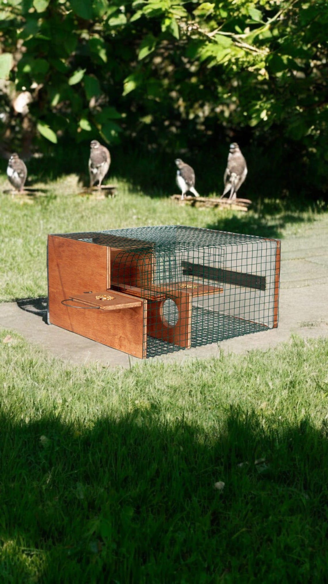 Sparrow Trap, Live Bird Trap Nonstop Elevator Type Automatic Trap Catch ...