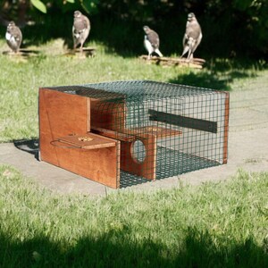 Zipper Door New Design Sparrow Trap, Live Bird Trap Nonstop Elevator ...