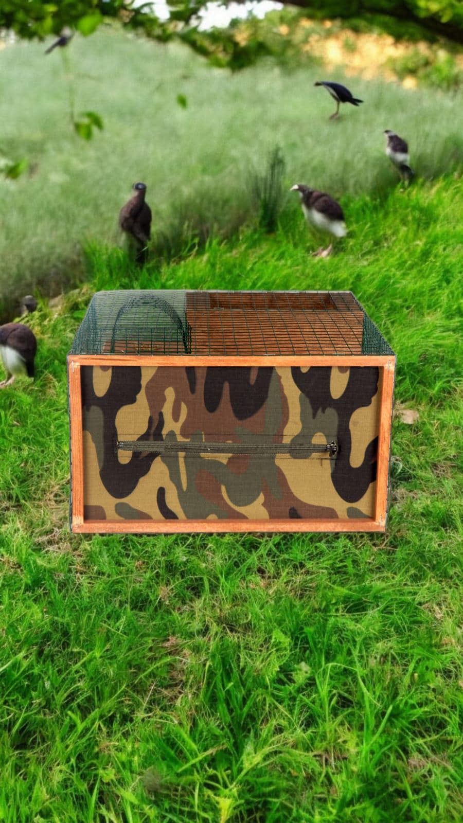 Zipper Door New Design Sparrow Trap, Live Bird Trap Nonstop Elevator ...