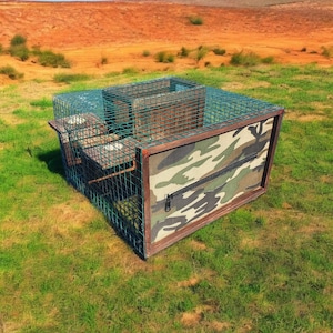 Sparrow Trap, Live Bird Trap Nonstop Elevator Type Automatic Trap Catch ...