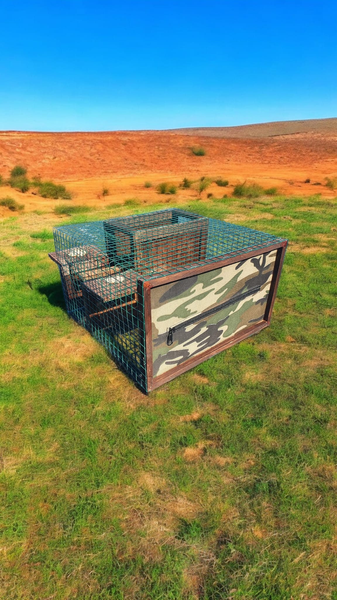 Sparrow Trap, Live Bird Trap Nonstop Elevator Type Automatic Trap Catch ...