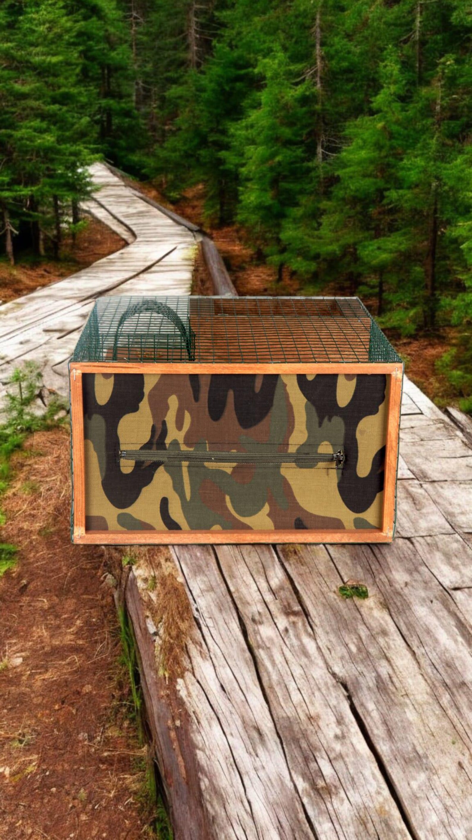 Sparrow Trap, Live Bird Trap Nonstop Elevator Type Automatic Trap Catch ...