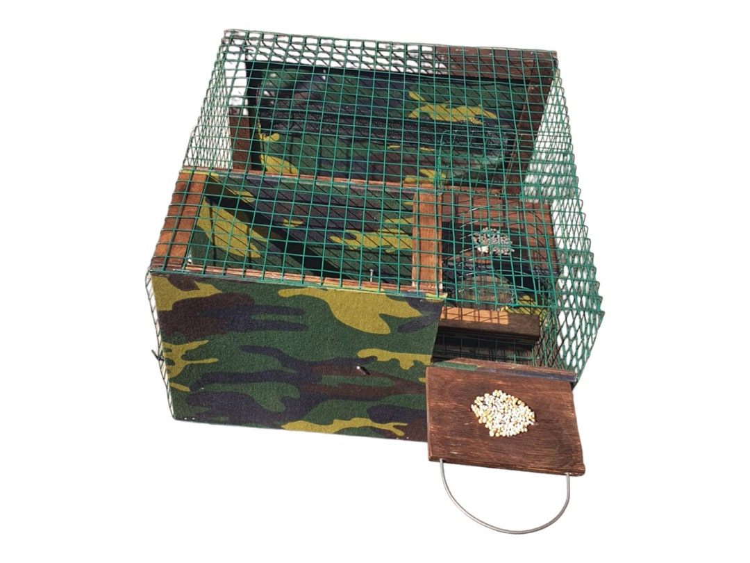 New Model Zipper Door New Design Sparrow Trap, Live Bird Trap Nonstop ...