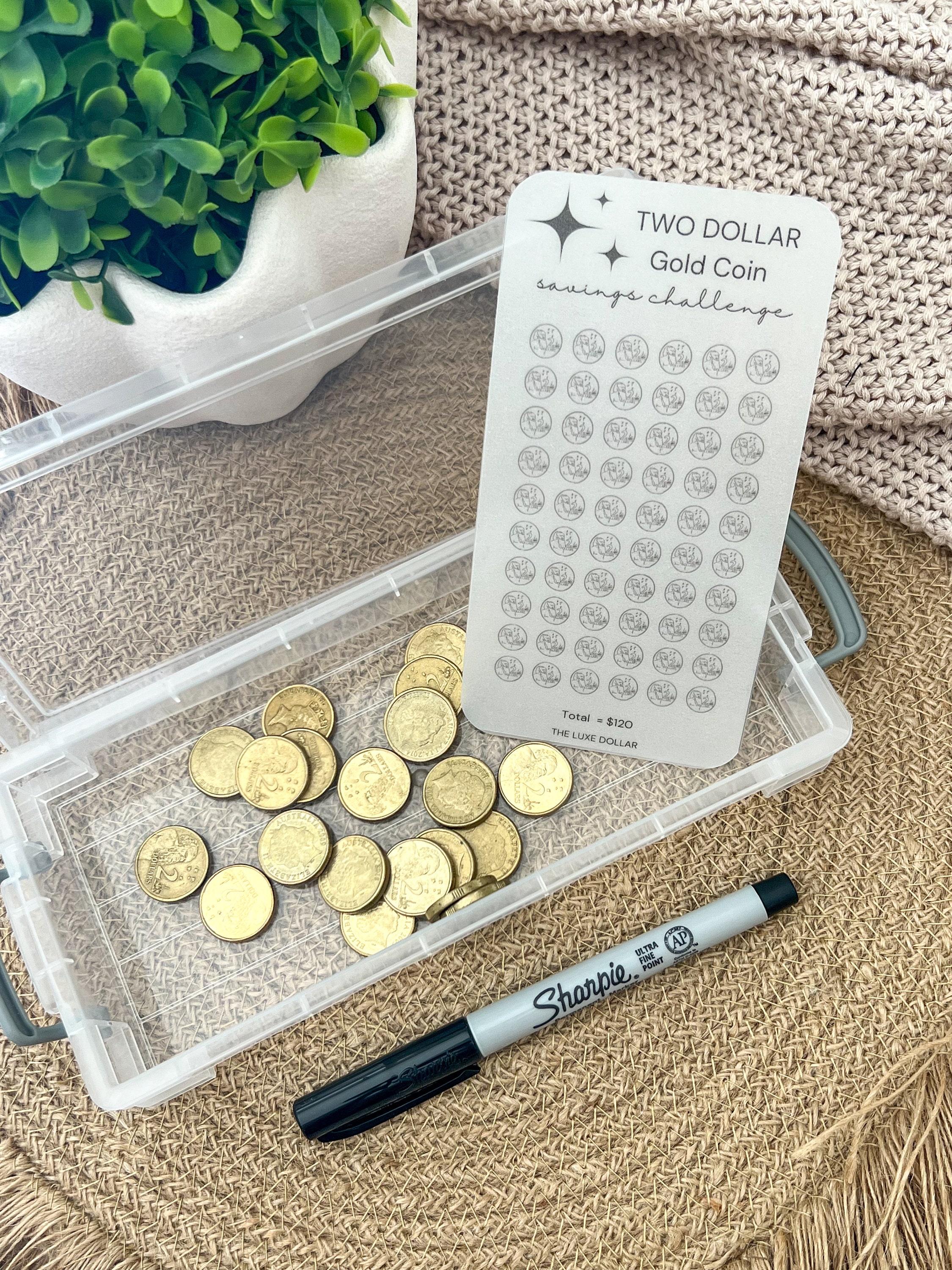 Two Dollar Gold Coin Savings Challenge A6 Savings Challenge Cash ...