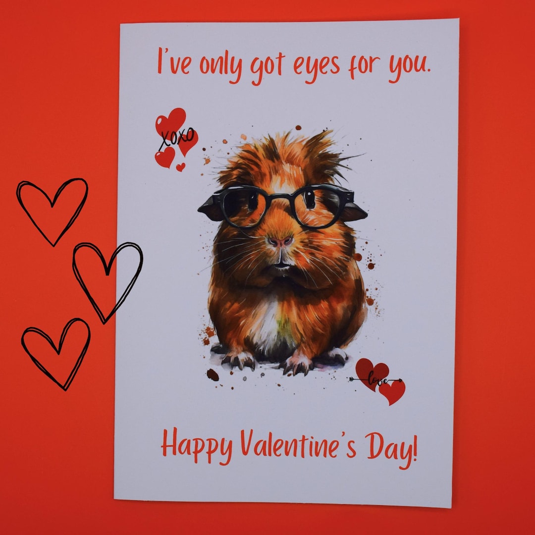 Guinea Pig Valentines Day Card | Piggie Happy V Day Card | Cute Glasses ...