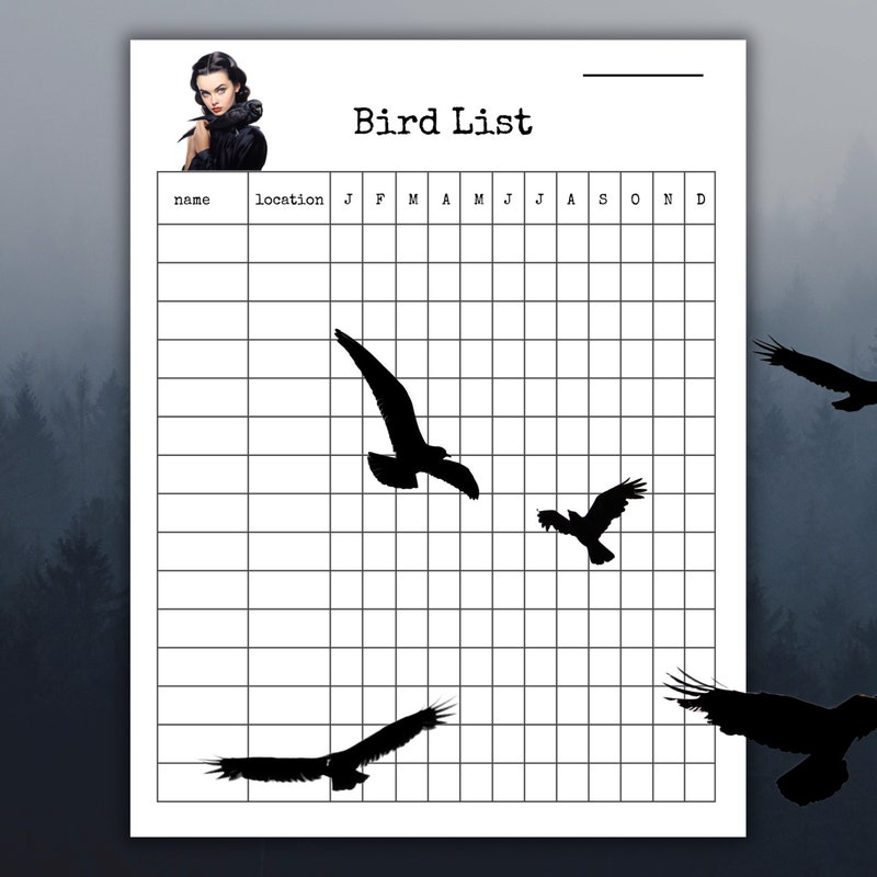 TheCuriousCrowPress - Etsy