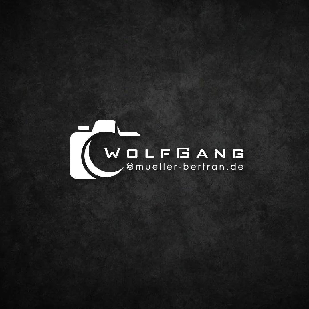 Custom Photography Logo Design, Photography Logo, Photography Logo ...