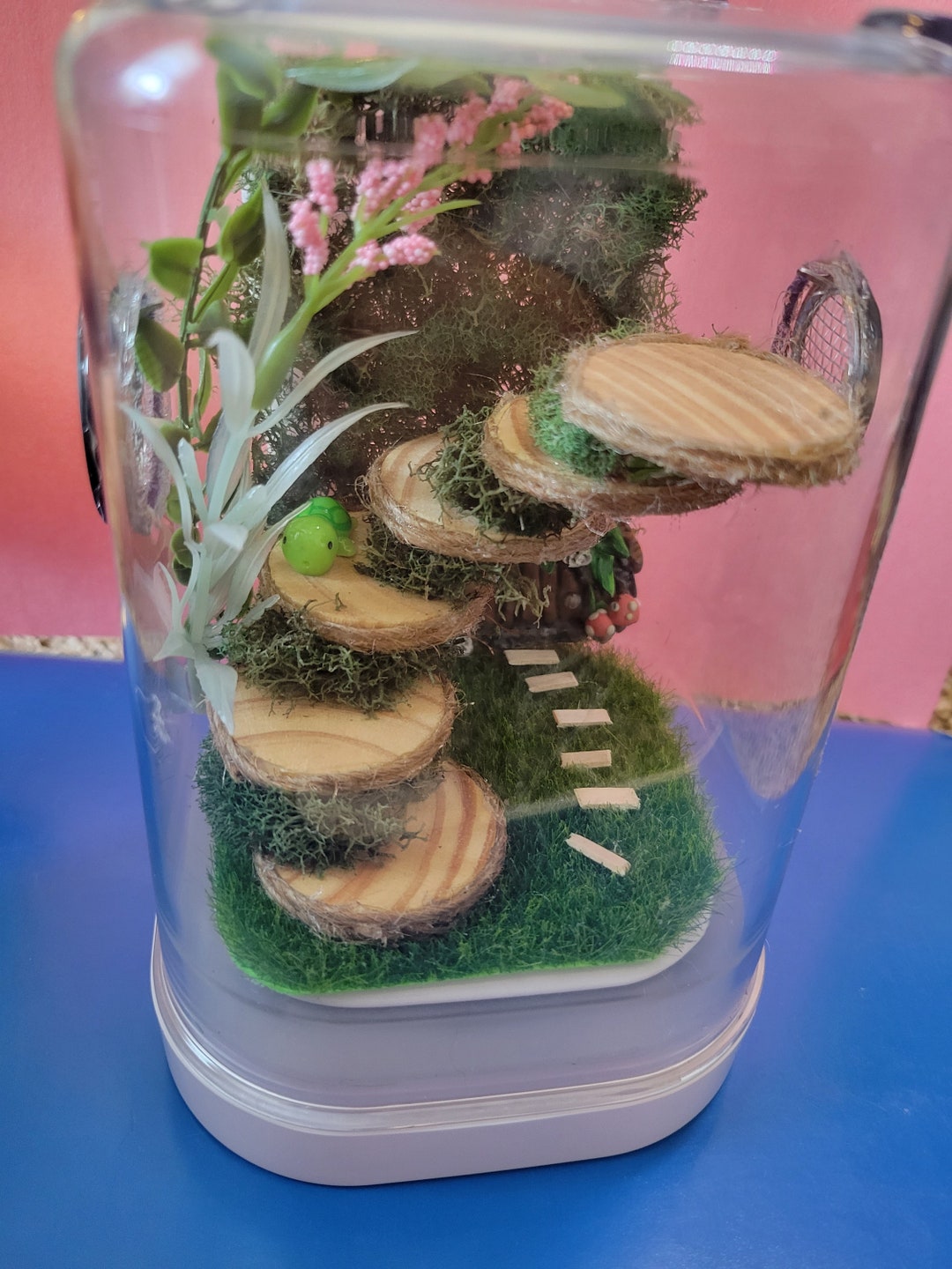 Custom Jumping Spider Enclosure - Etsy