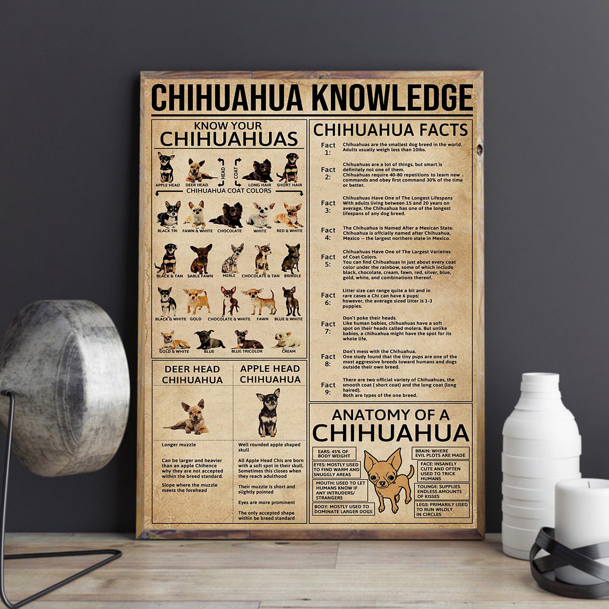 Chihuahua Knowledge Vintage Poster Chihuahua Lover Gift All - Etsy