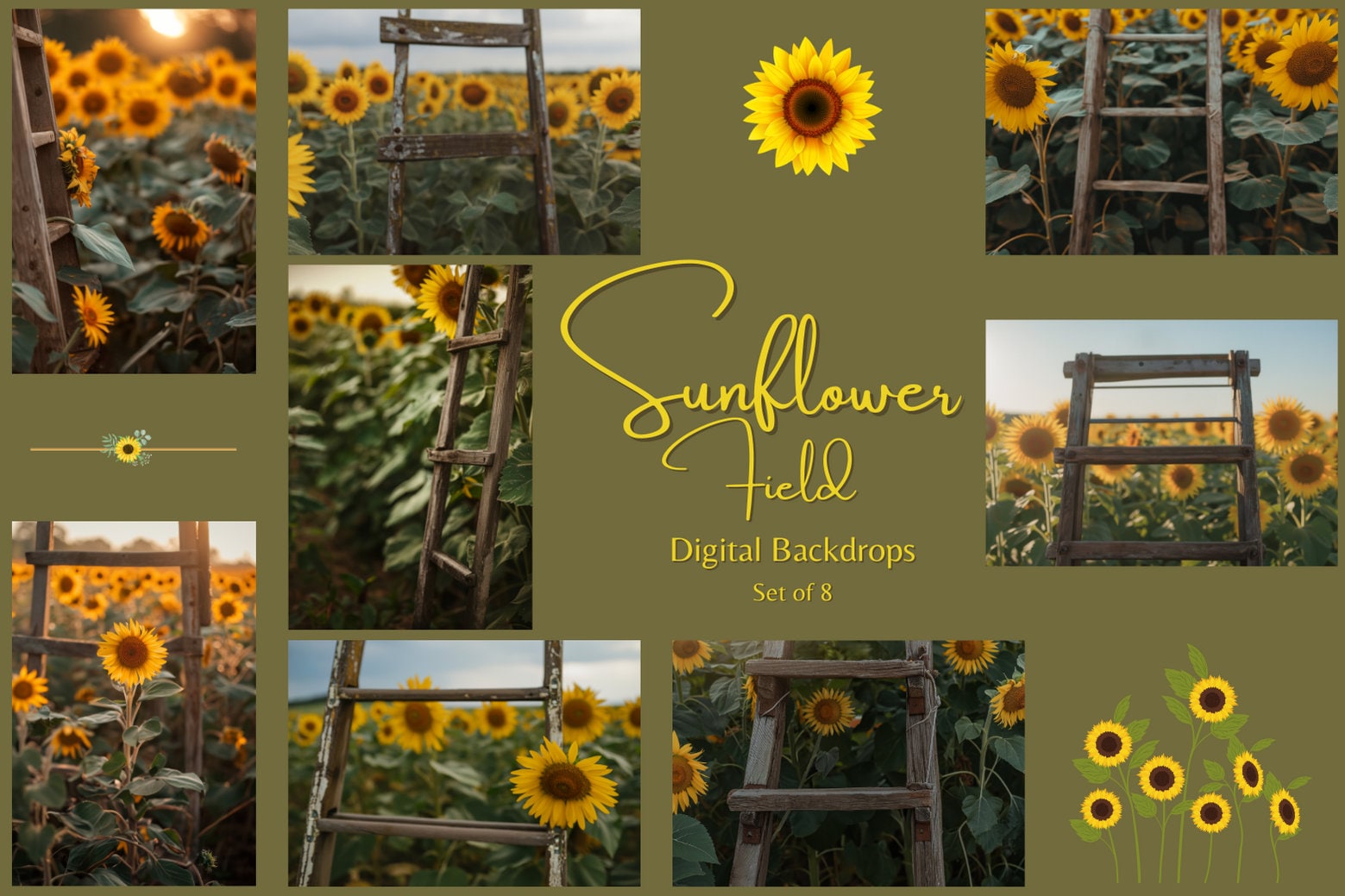 Sunflower Field Digital Backdrops, Golden Hour, Bundle, Set of 8 ...
