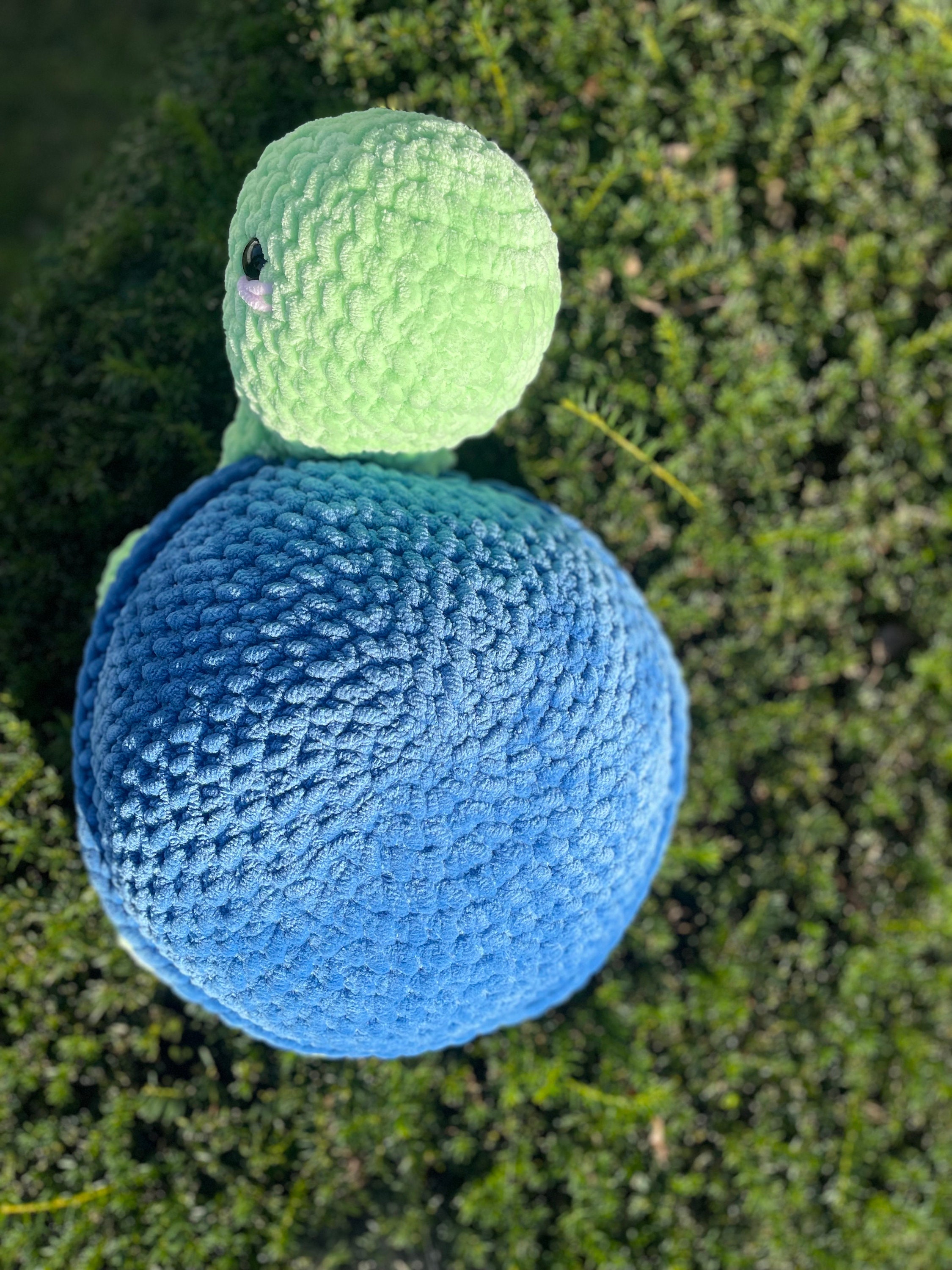 Timothy the Jumbo Turtle - Etsy