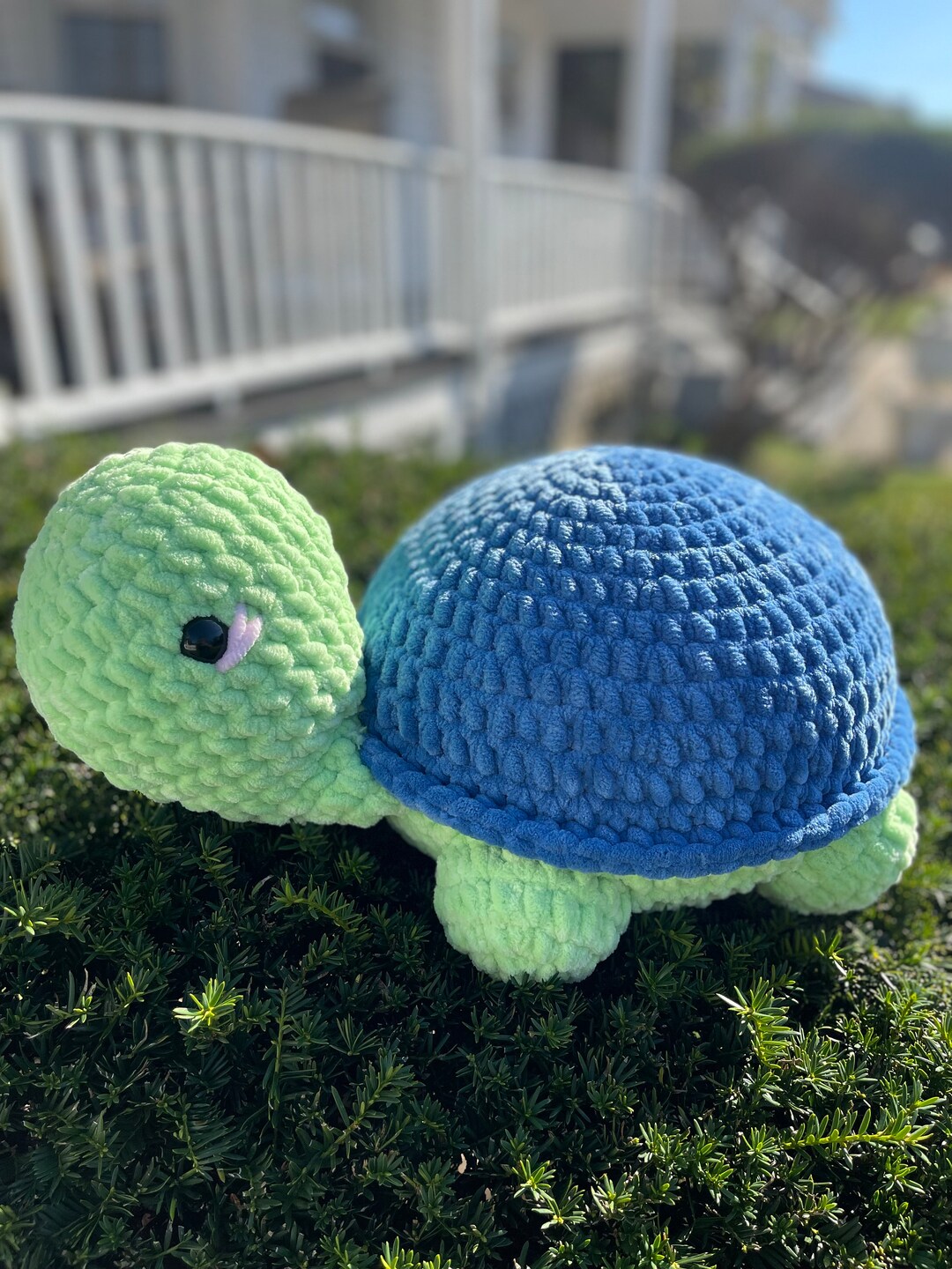 Timothy the Jumbo Turtle - Etsy
