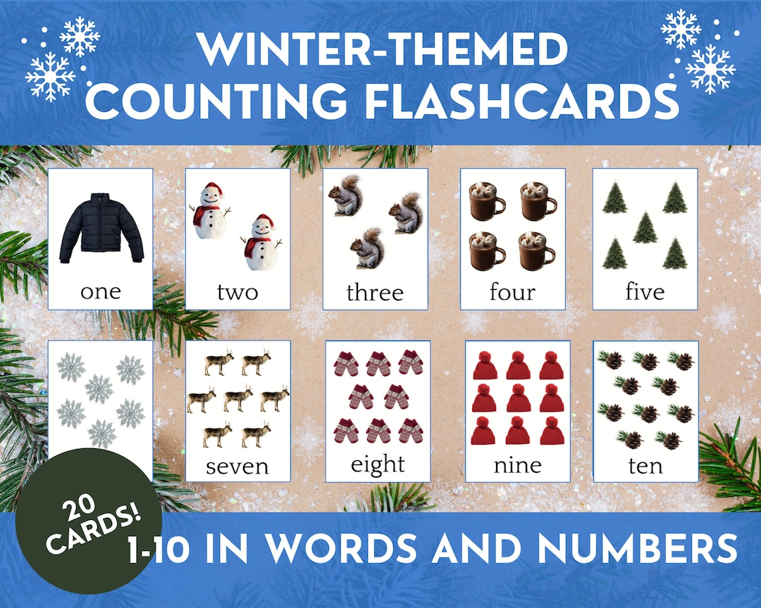 Printable Winter Flashcards Montessori Real Image Flashcards - Etsy