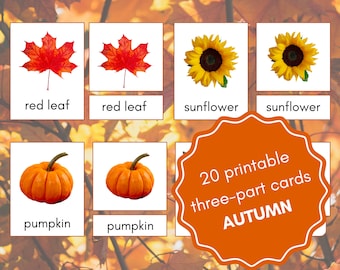 Montessori Fall 3 Part Cards/ Autumn Language Materials/ - Etsy