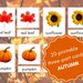 Fall Montessori Cards: Autumn Nature Flashcards (digital Download) - Etsy