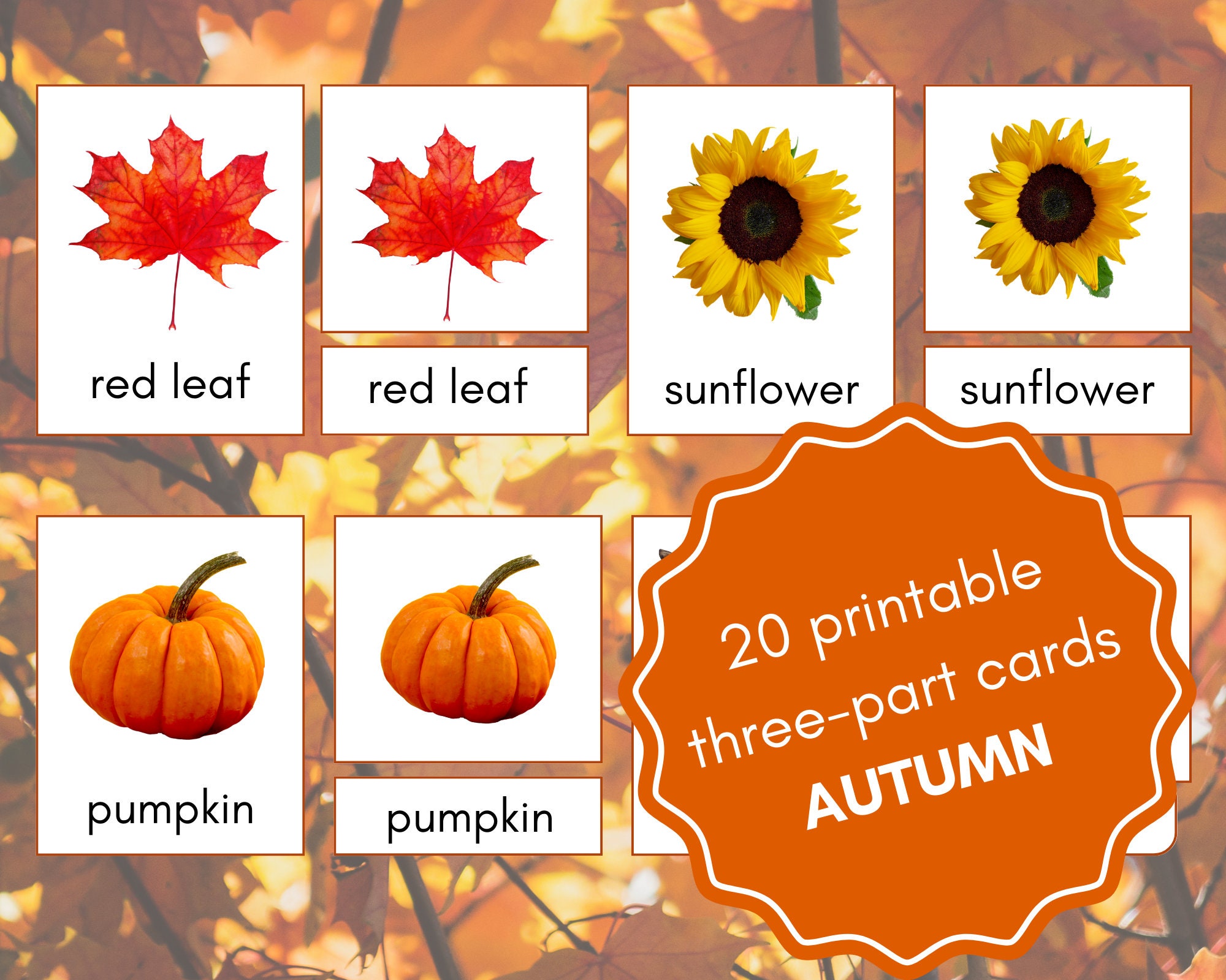 Printable Three-part Cards Nomenclature Cards Fall Nature Flashcards ...