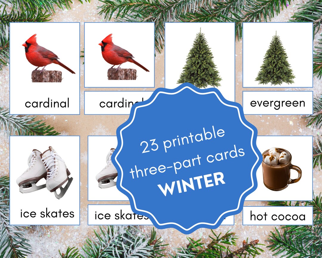 Printable Winter Three-part Cards Nomenclature Cards Winter - Etsy