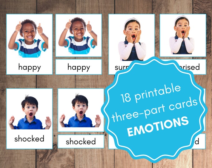 FEELINGS & EMOTIONS Photo Flashcards, Montessori Style 3 Part Cards ...
