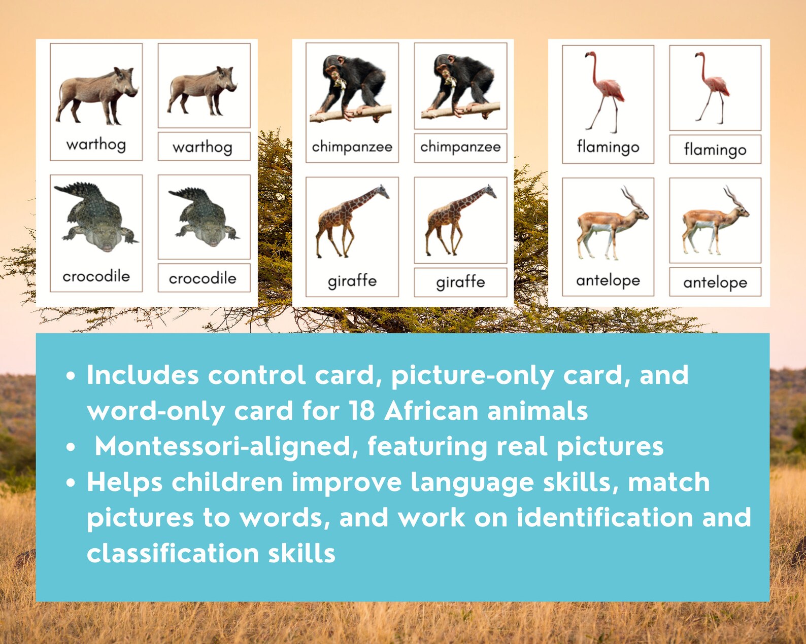 African Animal Flashcards Printable Three-part Cards Montessori ...