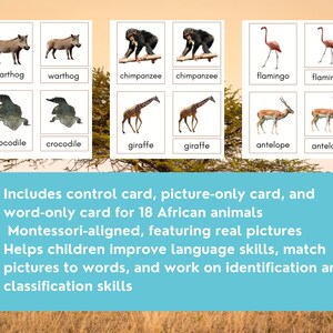 African Animal Flashcards Printable Three-part Cards Montessori ...