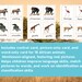 African Animal Flashcards Printable Three-part Cards Montessori ...