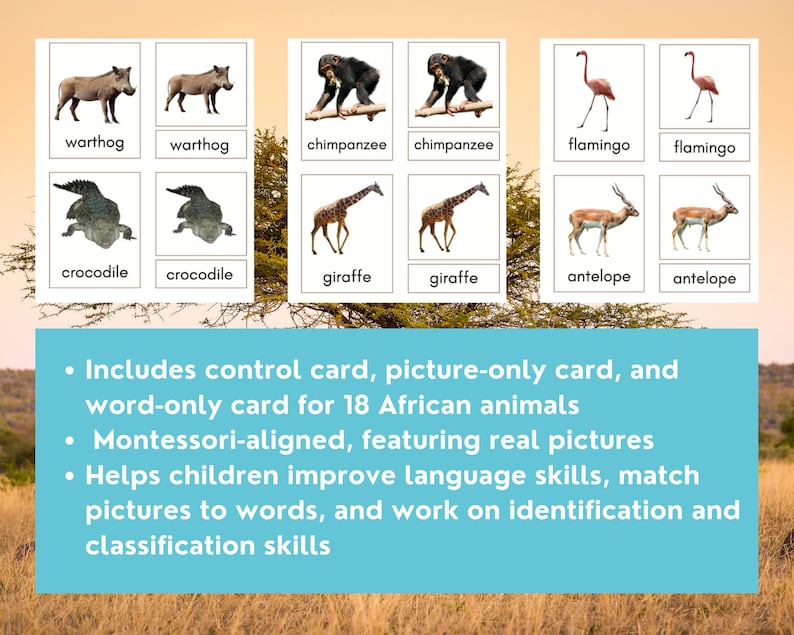 African Animal Flashcards Printable Three-part Cards Montessori ...