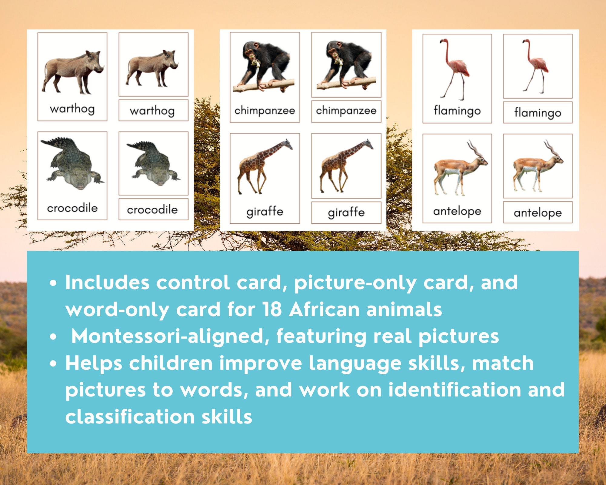 African Animal Flashcards Printable Three-part Cards Montessori ...