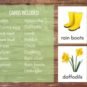 Spring Montessori Three-part Cards Printable Spring Nomenclature Cards ...
