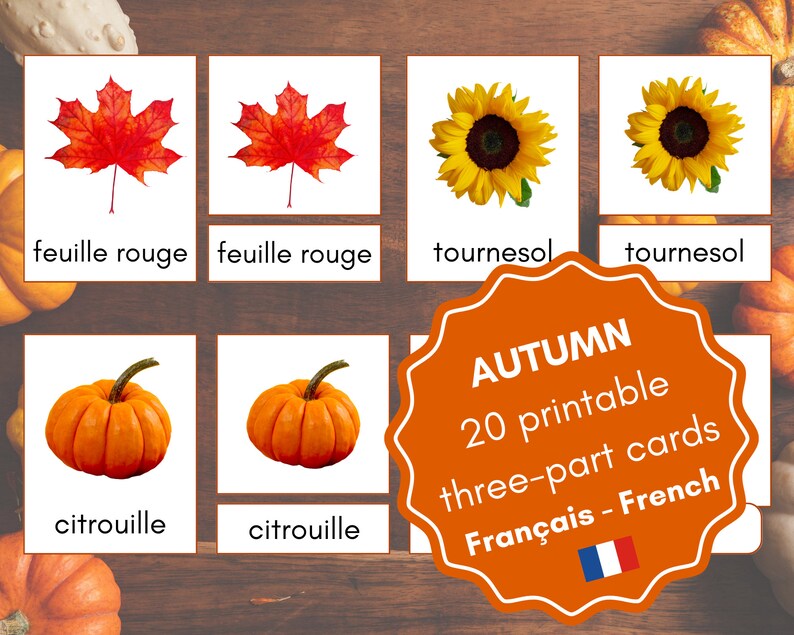 Tarjetas imprimibles de tres partes de otoño Tarjetas de nomenclatura ...