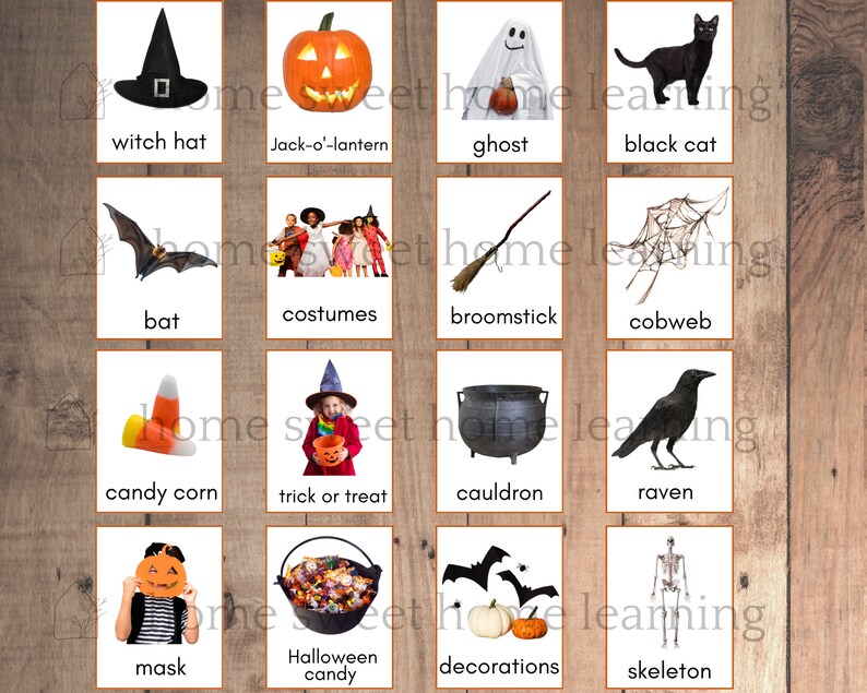 Printable Halloween Three-part Cards Real Pictures Nomenclature Cards ...
