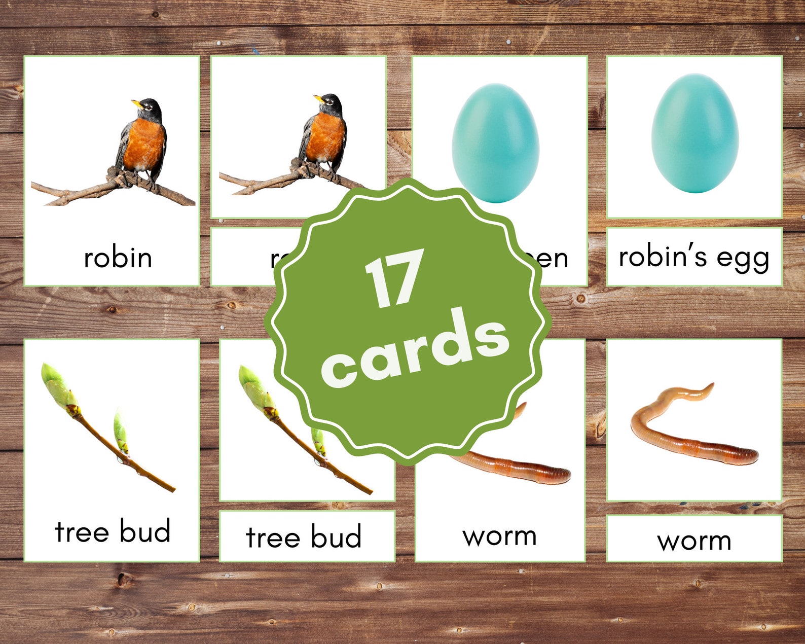 Spring Montessori Three-part Cards Printable Spring Nomenclature Cards ...