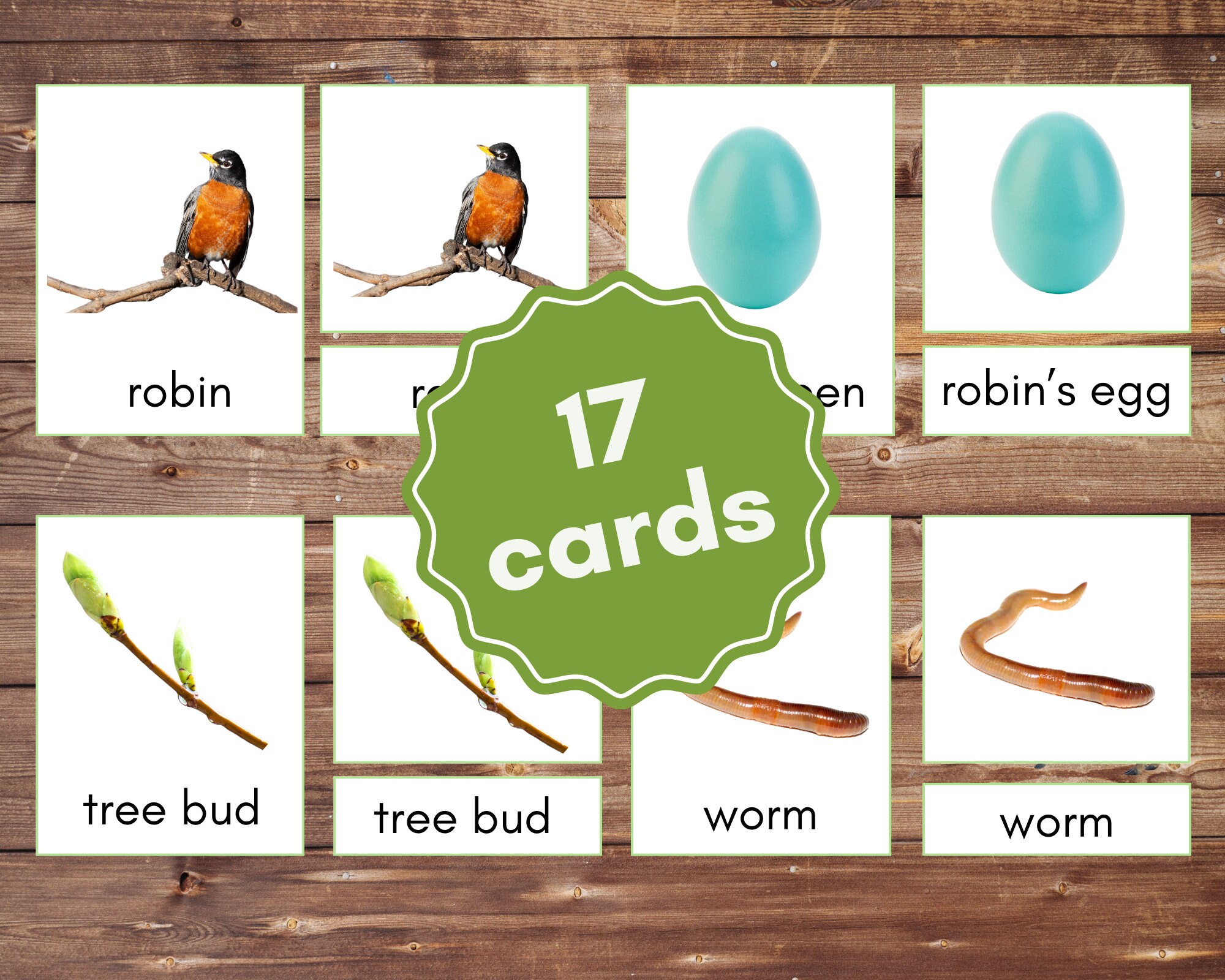 Spring Montessori Three-part Cards Printable Spring Nomenclature Cards ...