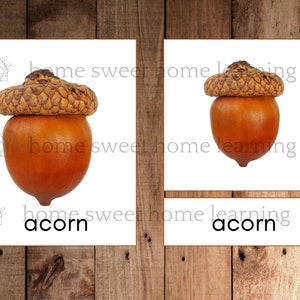 Fall Montessori Cards: Autumn Nature Flashcards (digital Download) - Etsy